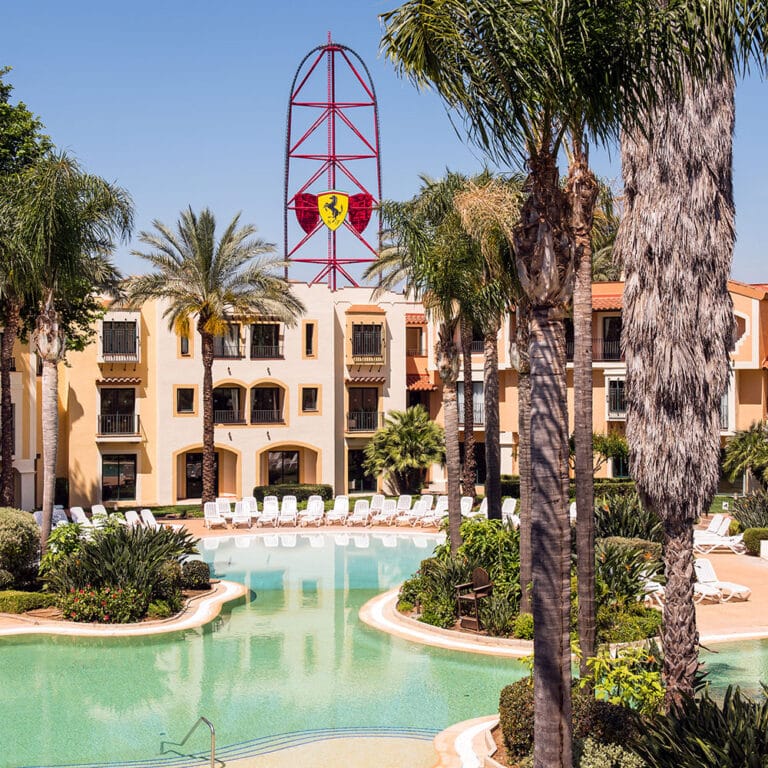 MSP GLOBAL | MSPs IN THEIR NATURAL HABITAT